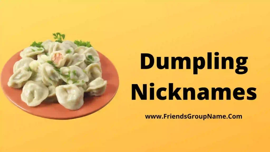 220+Dumpling Nicknames【2024】Best, Good & Funny Dumpling Names Ideas