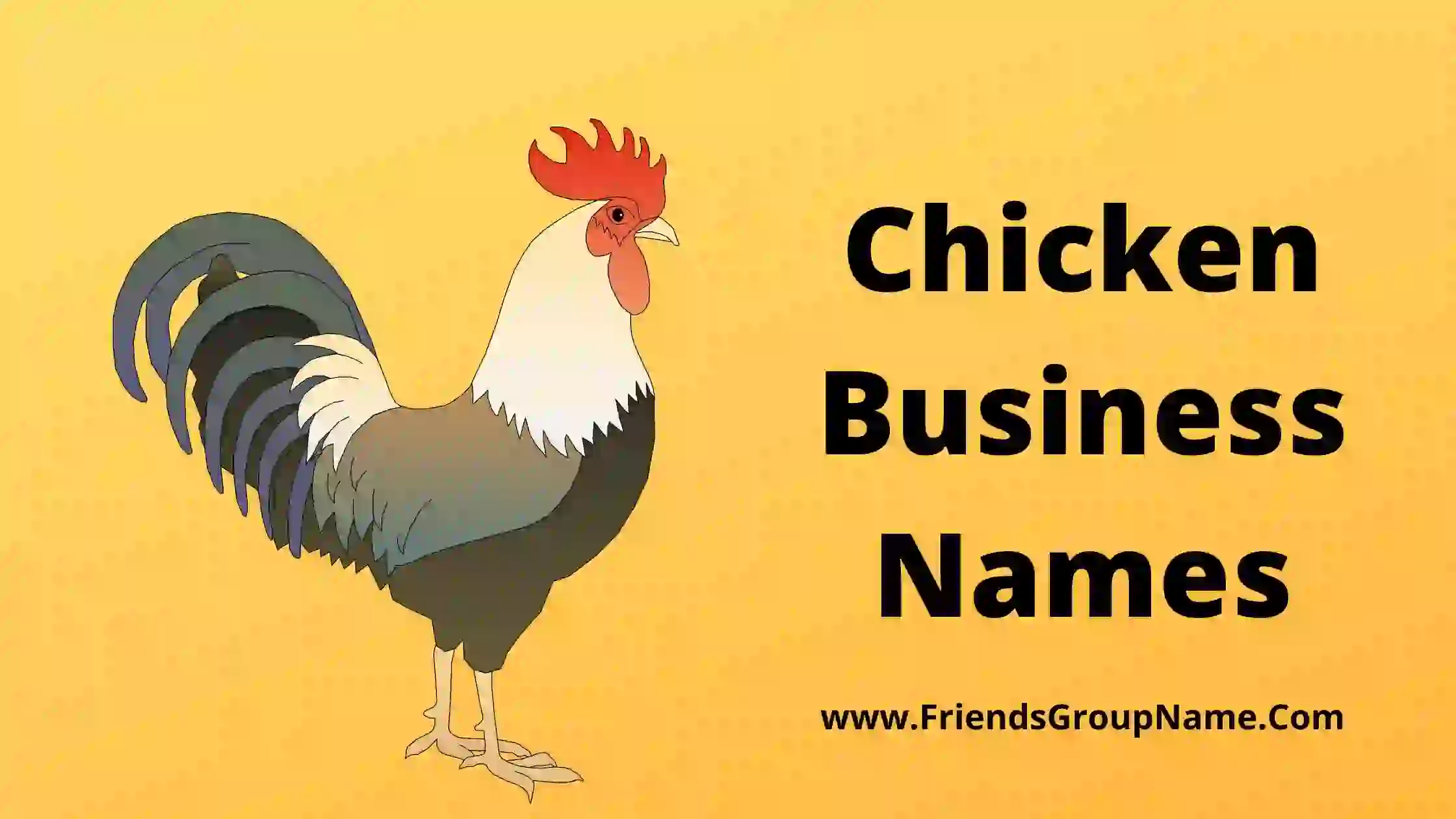 Chicken Business Names 2024 Best Funny Good Chicken Names For Chicken Business Names 2024 Best Funny Good Chicken Names For
